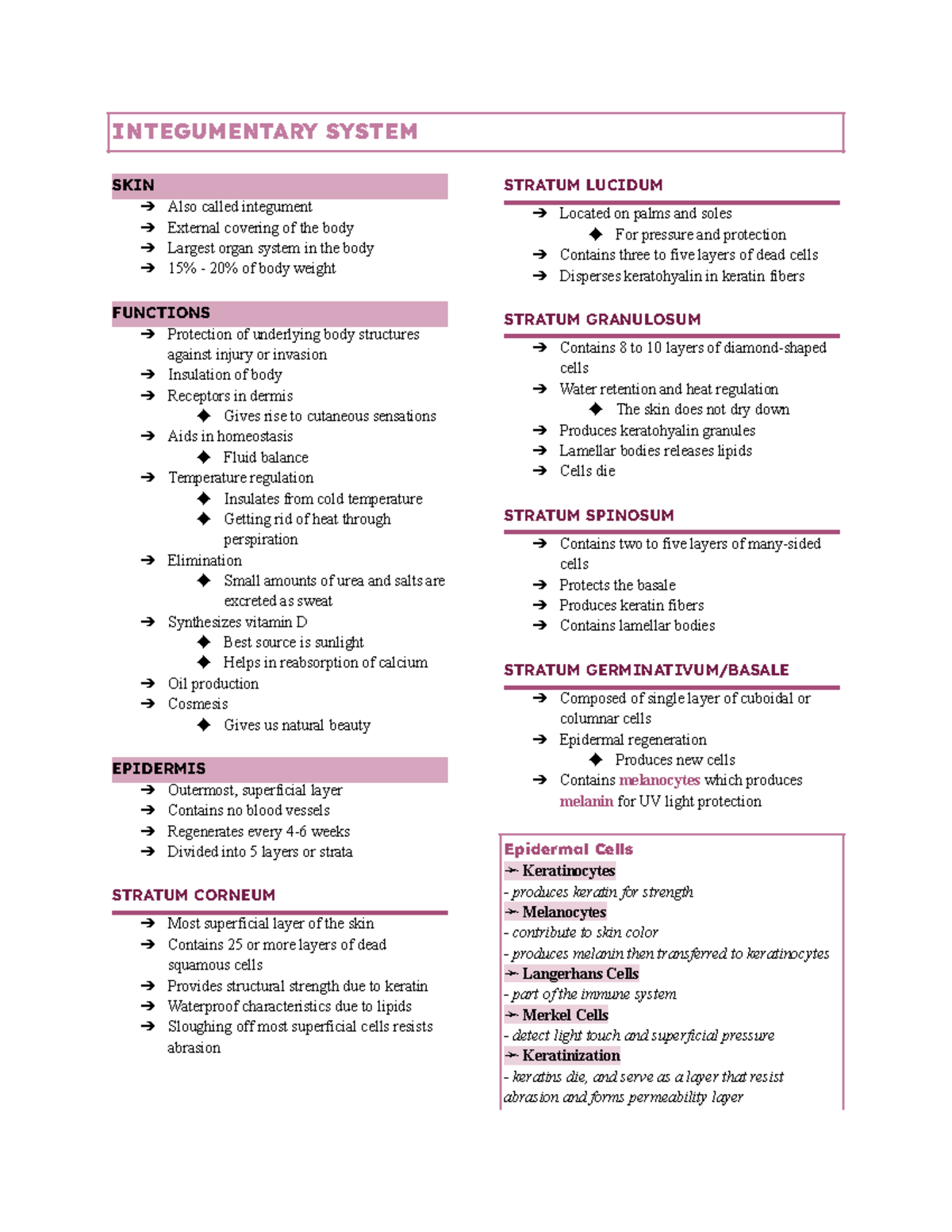 INTEGUMENTARY SYSTEM: Comprehensive Overview and Functions - Studocu