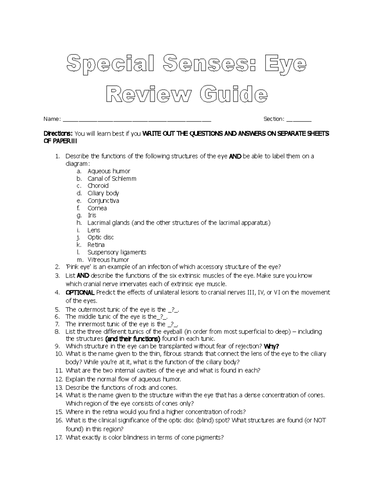 14 Special Senses: Eye Review Guide (Version 2) - Studocu