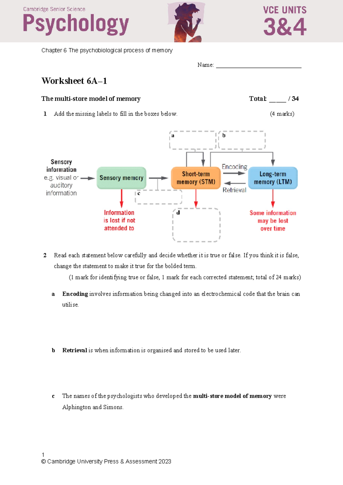 Chapter 6 Worksheet: Multi Store Model of Memory Analysis - Studocu