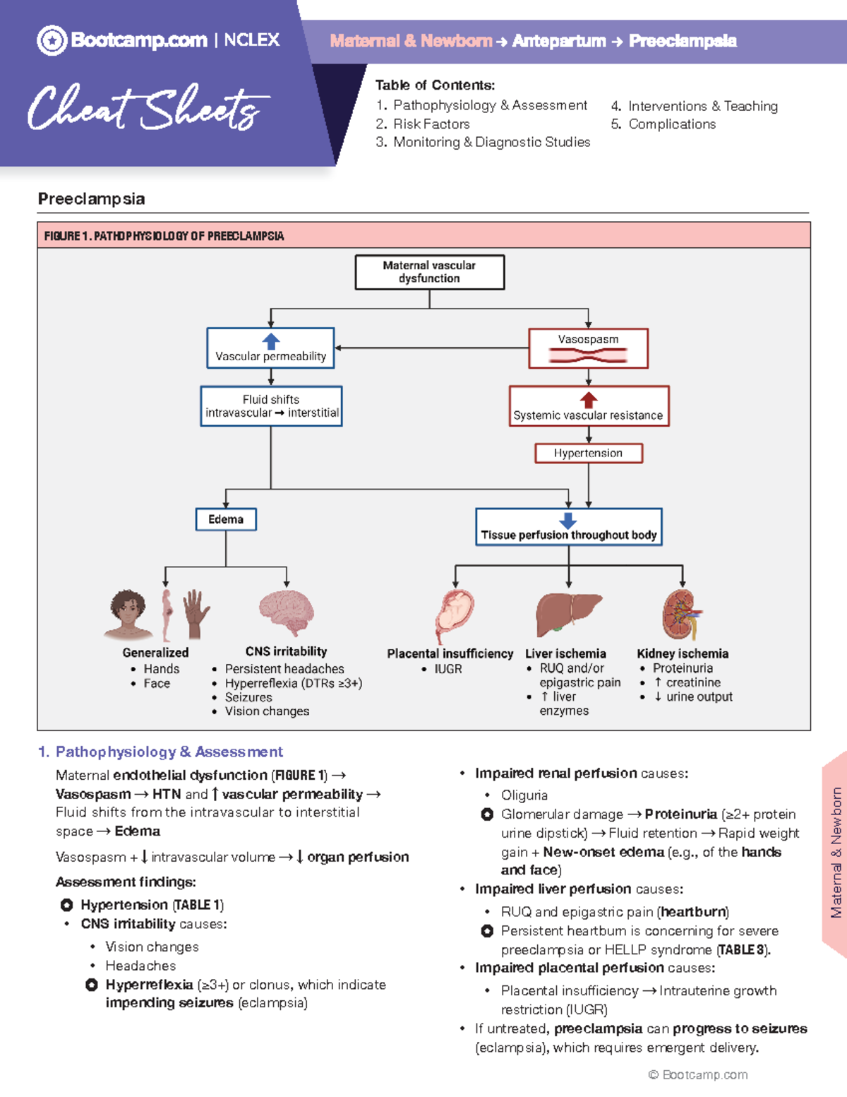Preeclampsia Study Guide: Pathophysiology, Risk Factors & Care ...