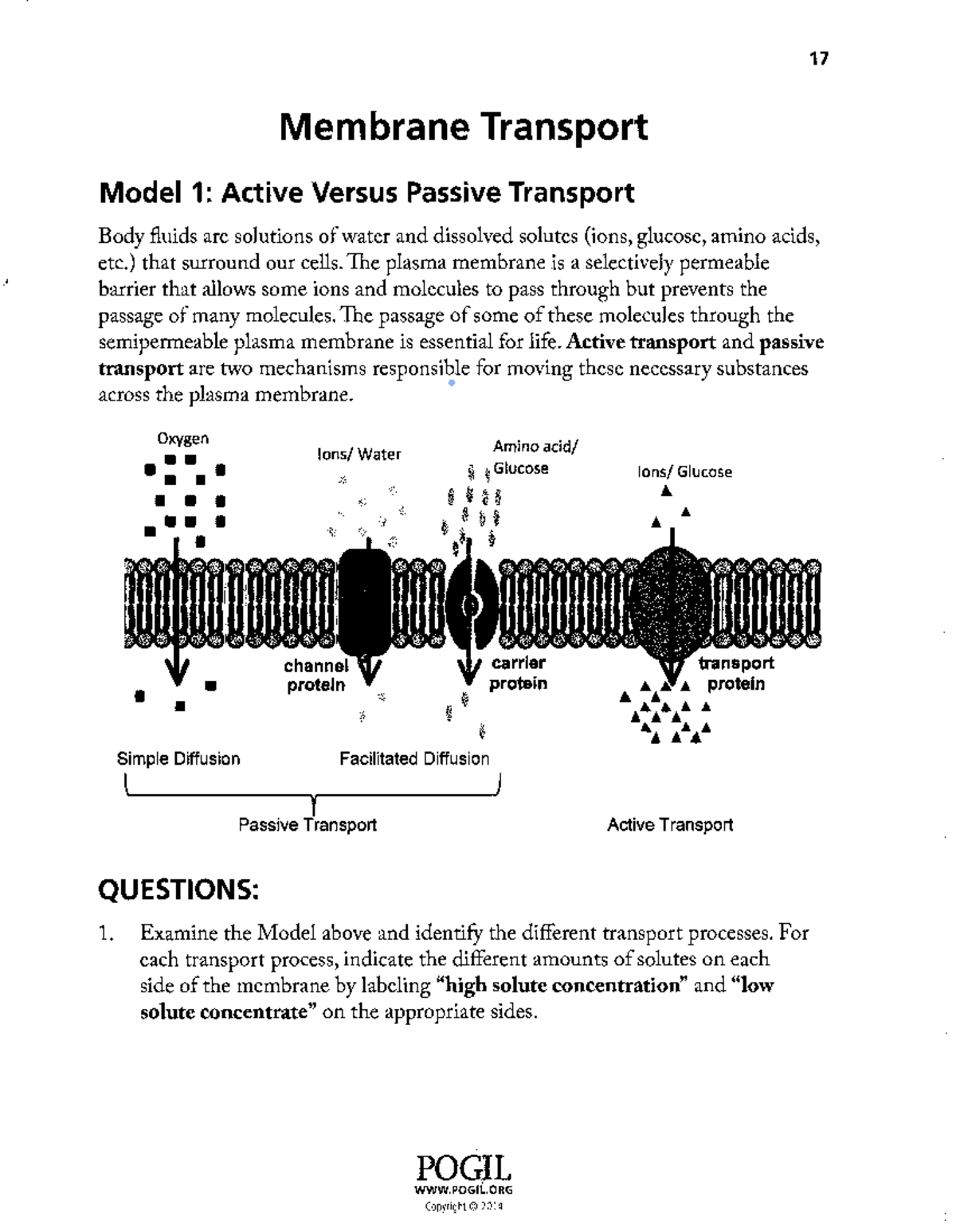 Membrane Transport Models: Active vs Passive Mechanisms (BIO 101) - Studocu