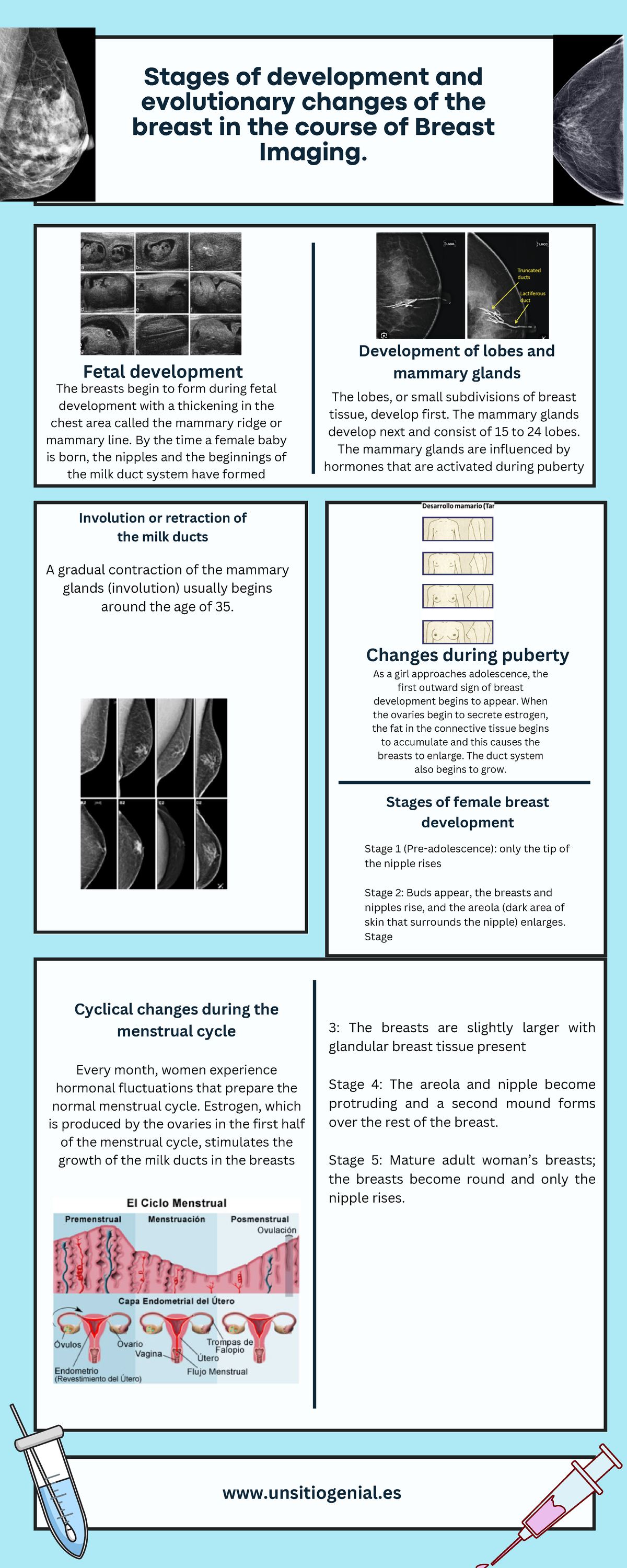 Breast Development Stages & Evolutionary Changes in Imaging 101 - Studocu