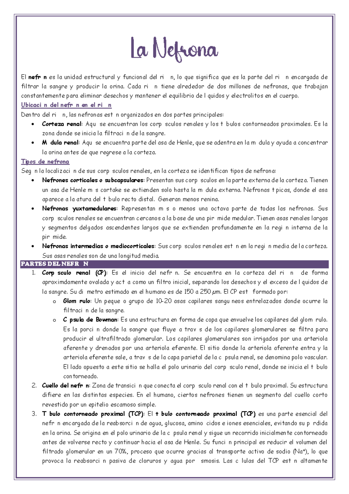 LA Nefrona - El nefrón es la unidad estructural y funcional del riñón ...