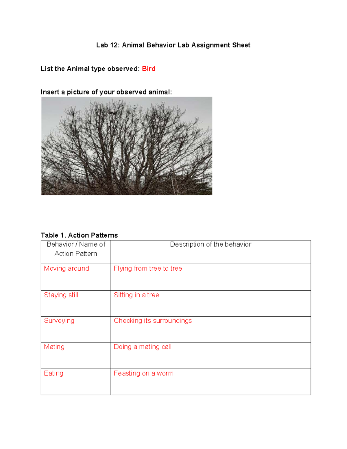 Animal Behavior Assignment Sheet - Lab 12: Animal Behavior Lab ...