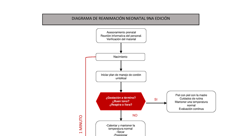 DIAGRAMA DE REANIMACIÓN NEONATAL 9NA EDICIÓN - Reneo 9 Piloto - Studocu