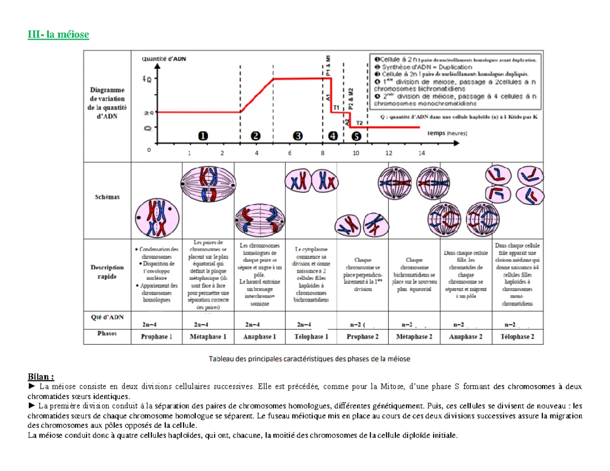 Fiche 13 : Méthodes d'Observation au Microscope - SVT Lycée Camille ...
