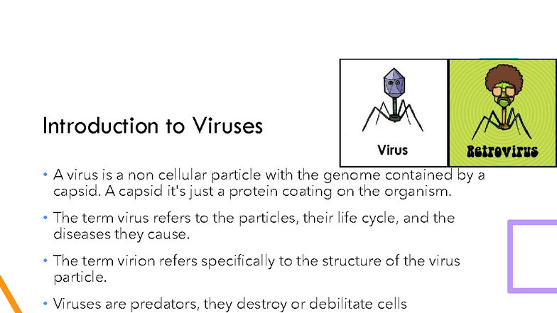Microbio 101: Quiz on Introduction to Viruses - Studocu