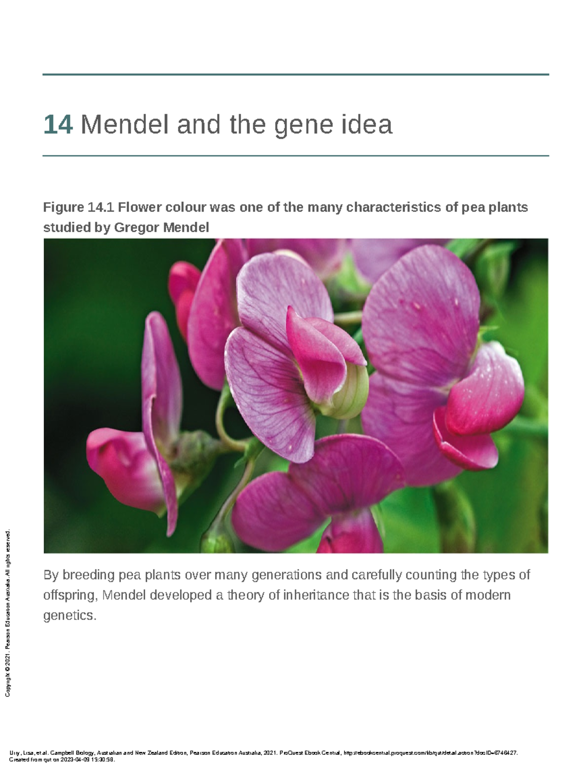 Reading w6 - Campbell Biology Australian and New Zealand Editio - 14 ...