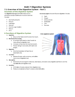 [Solved] Categorize the following cranial nerves motor sensorial or ...