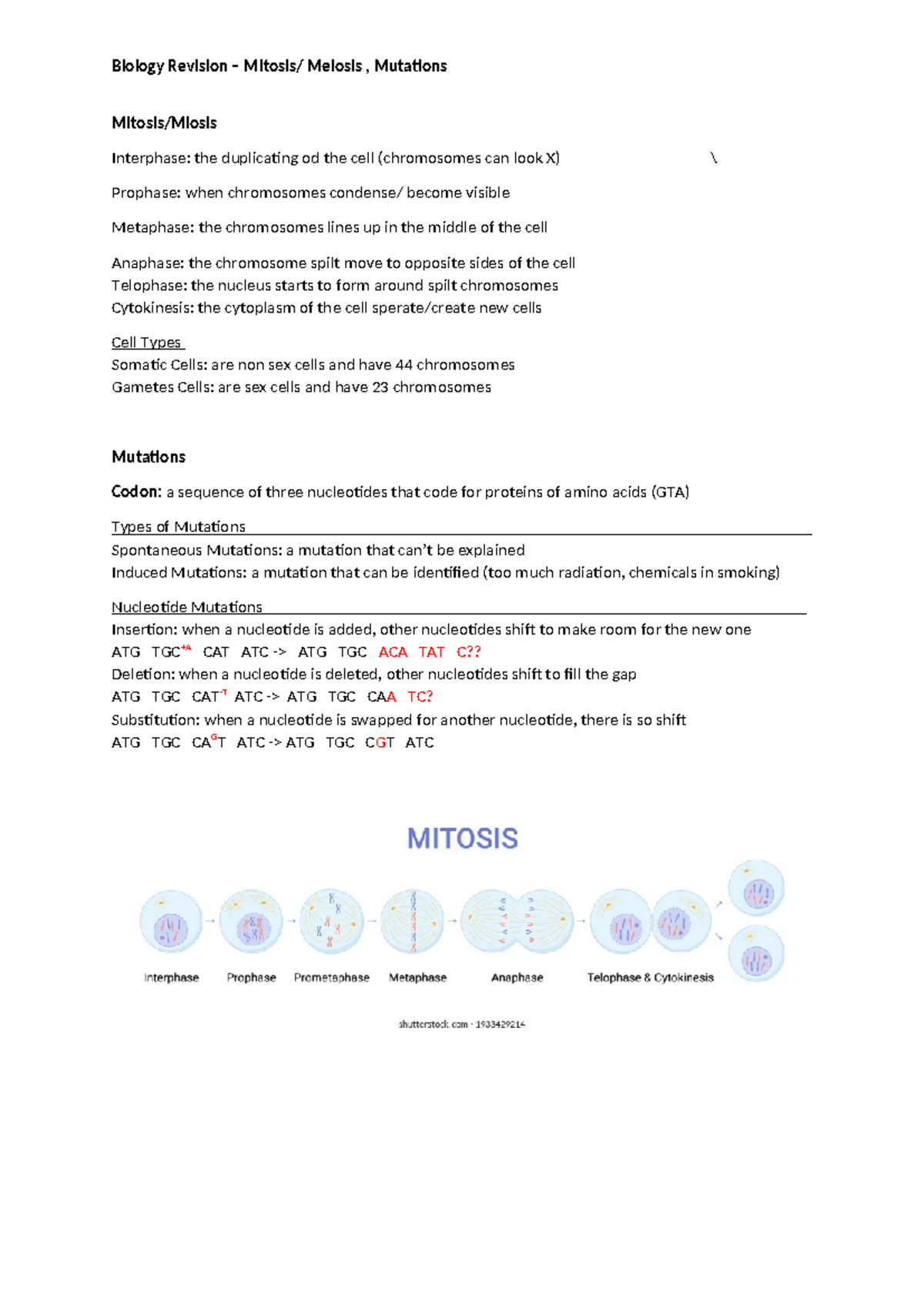 Biology Revision Notes – Mitosis, Meiosis & Mutations Overview - Studocu