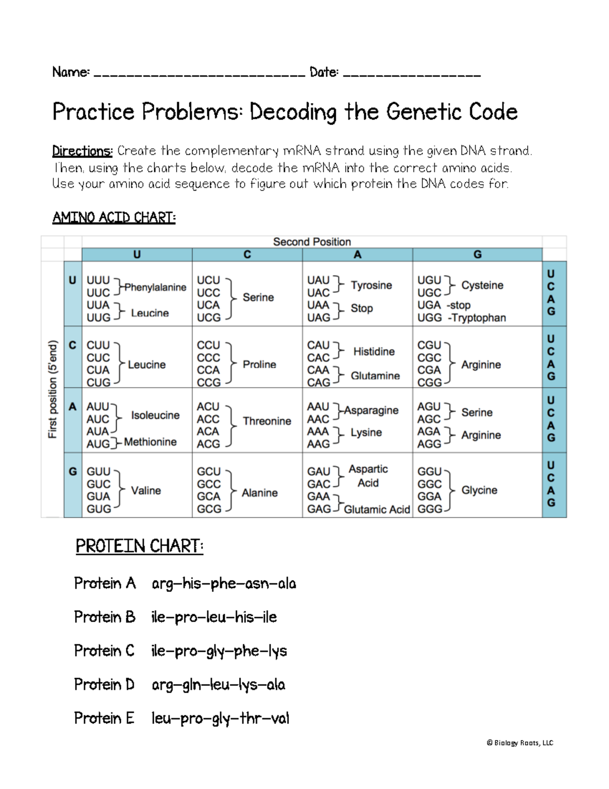 6.3 Genetics: Practice Problems on Decoding the Genetic Code - Studocu
