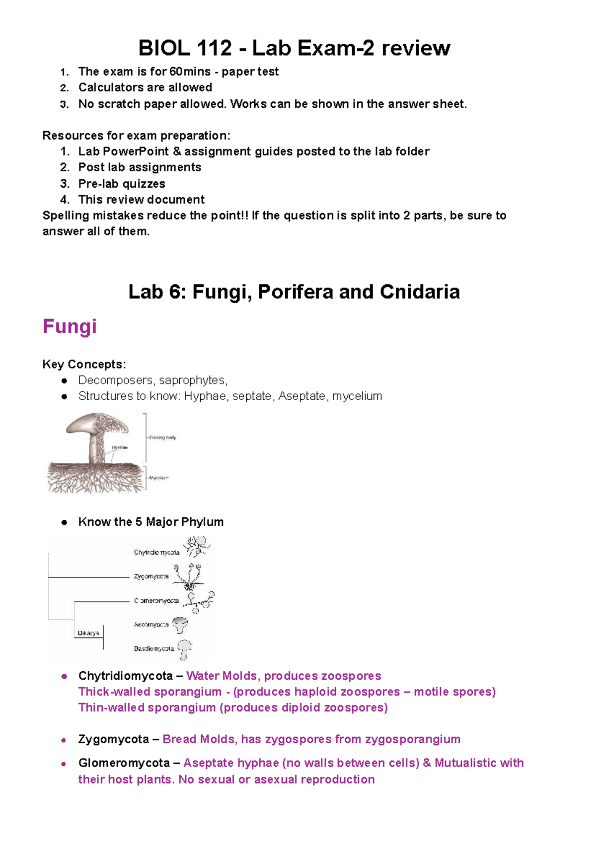 BIOL 112 Lab Exam 2 Review: Fungi, Porifera, Cnidaria & More - Studocu
