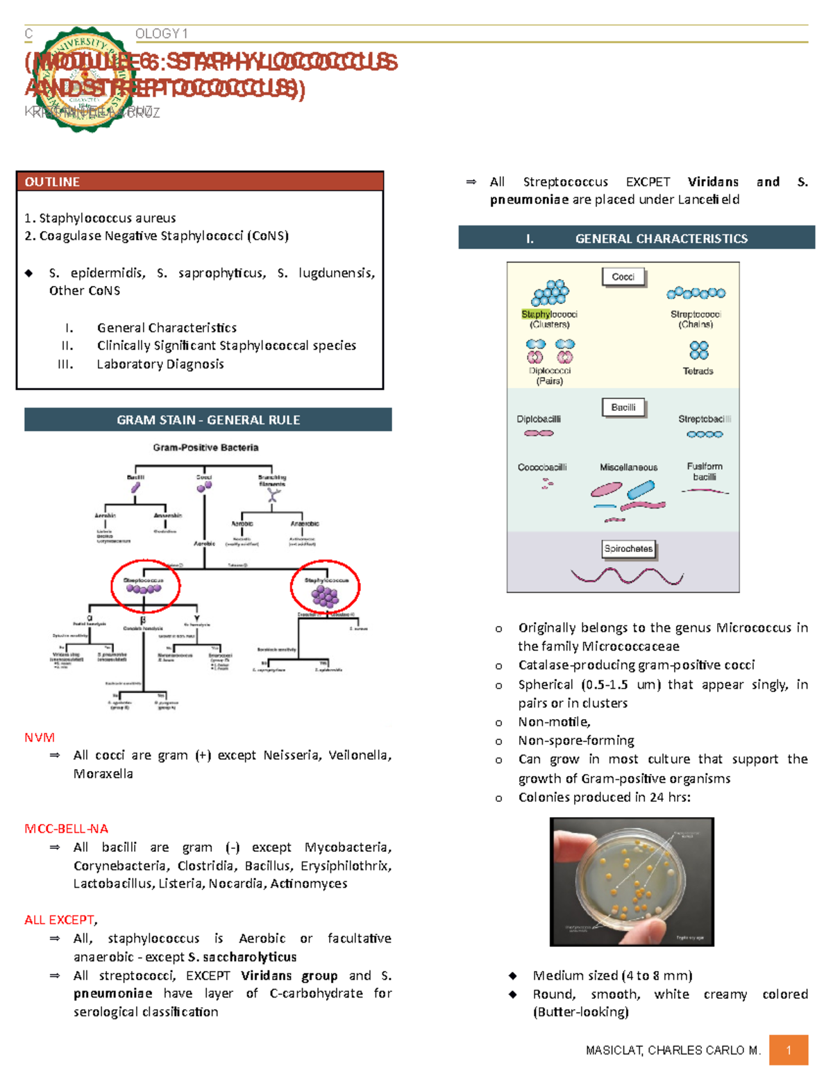 Module-6-trans - notes - CLINICAL BACTERIOLOGY 1 OUTLINE Staphylococcus ...
