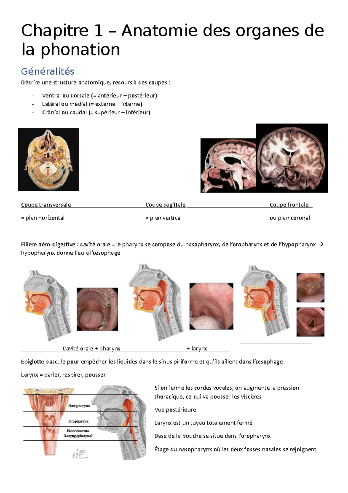 Chapitre 1 - Anatomie des organes de la phonation - Chapitre 1 ...