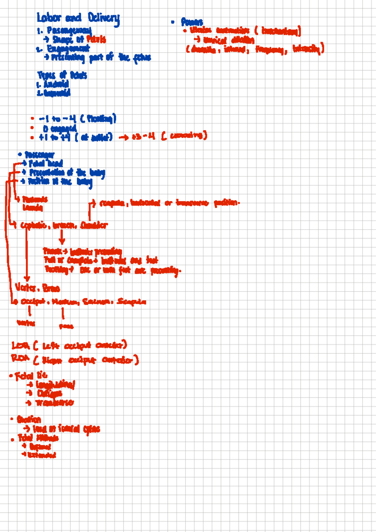 Labor and Delivery Powers: Passageway and Fetal Presentation Notes ...