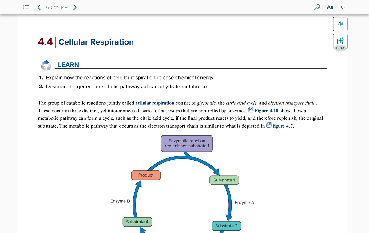4.4 Cellular Respiration: Metabolic Pathways & Energy Release - Studocu