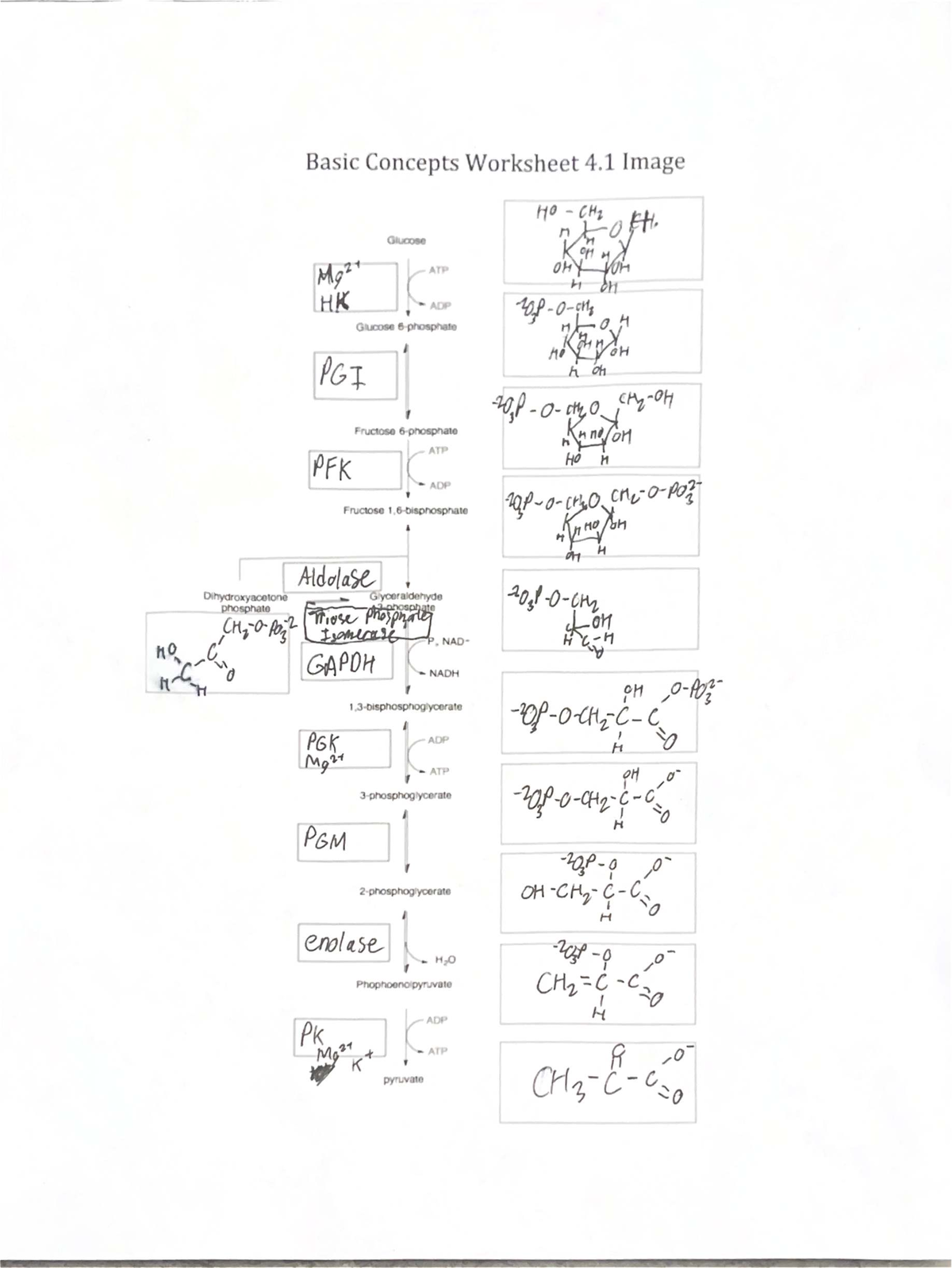 Worksheet 4 part 2 - CHM 330 - Basic Concepts Worksheet 4 Image Ho ...
