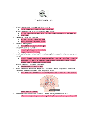 Focus sheet complete health history - NR 116 Health Assessment Complete ...