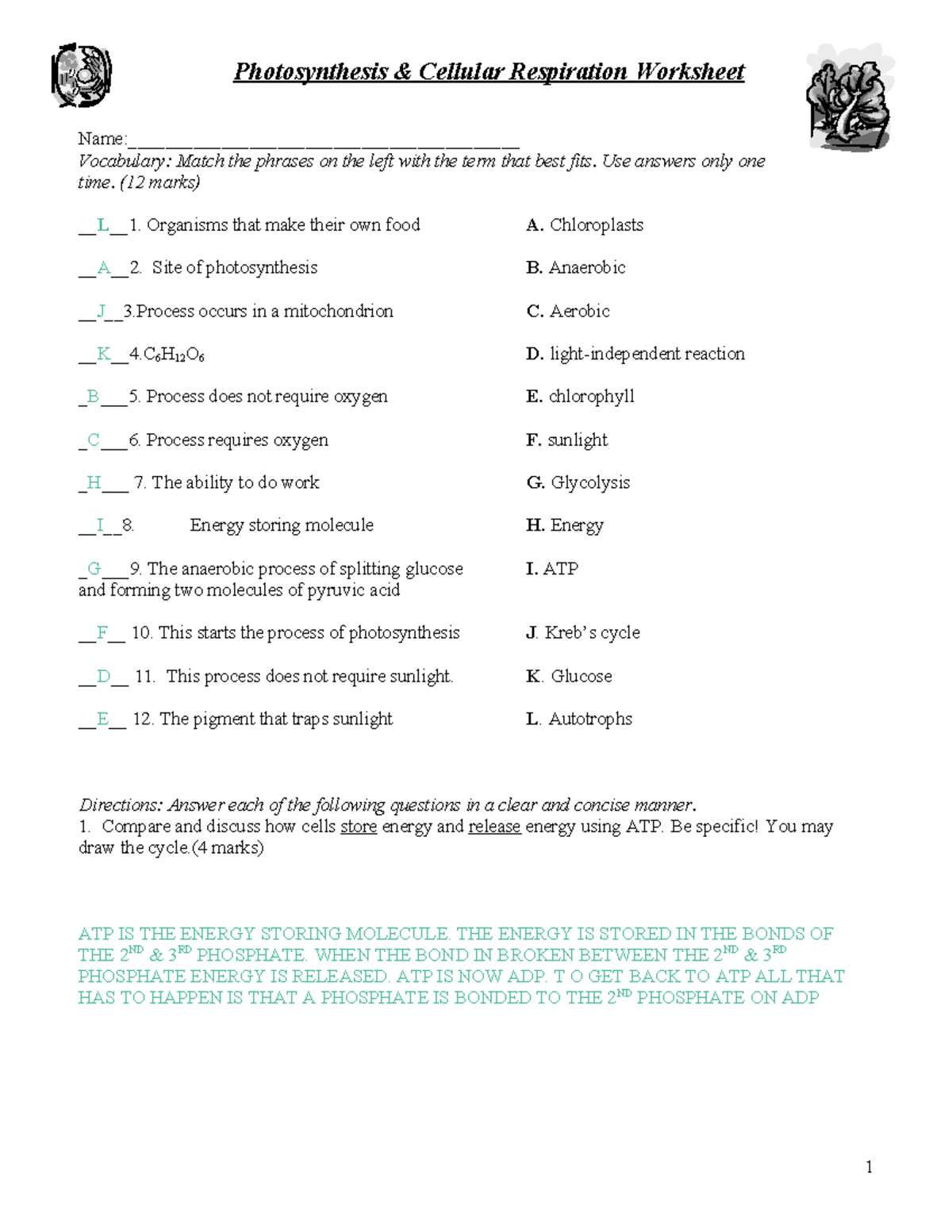 Key Photosynthesis & Cellular Respiration Review Worksheet - Studocu