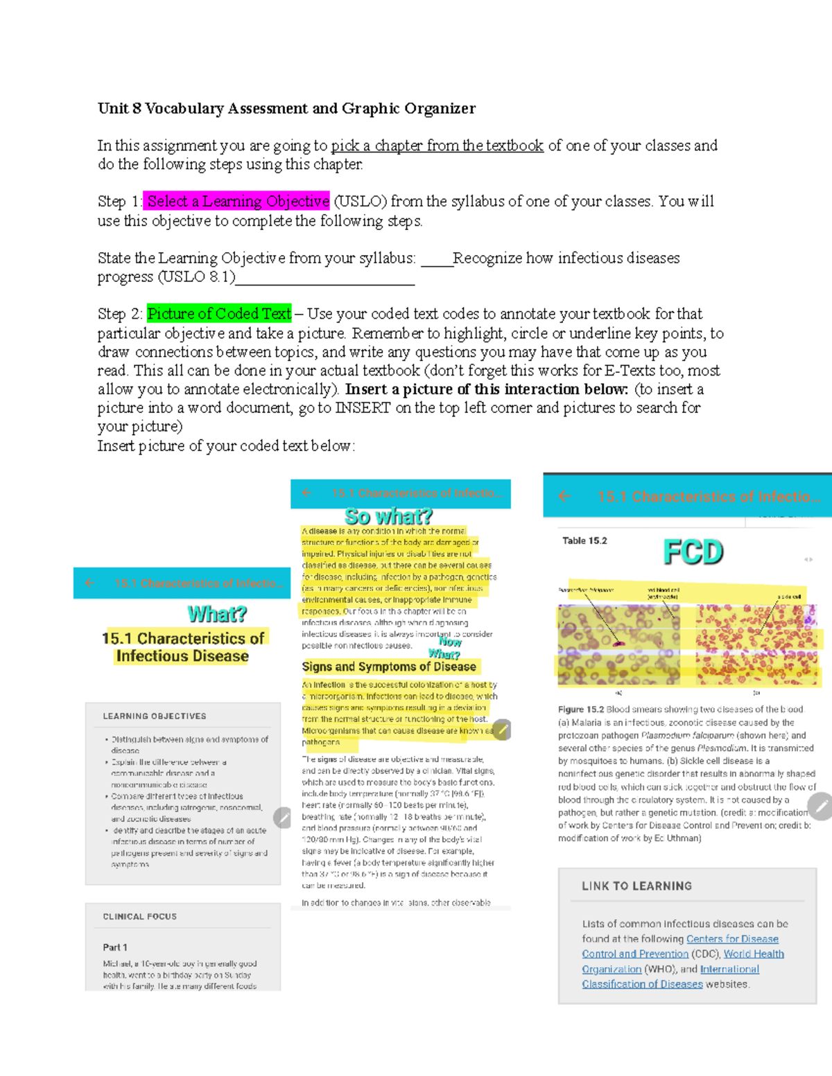 Unit 8 Vocabulary Assessment and Graphic Organizer - Step 1: Select a ...