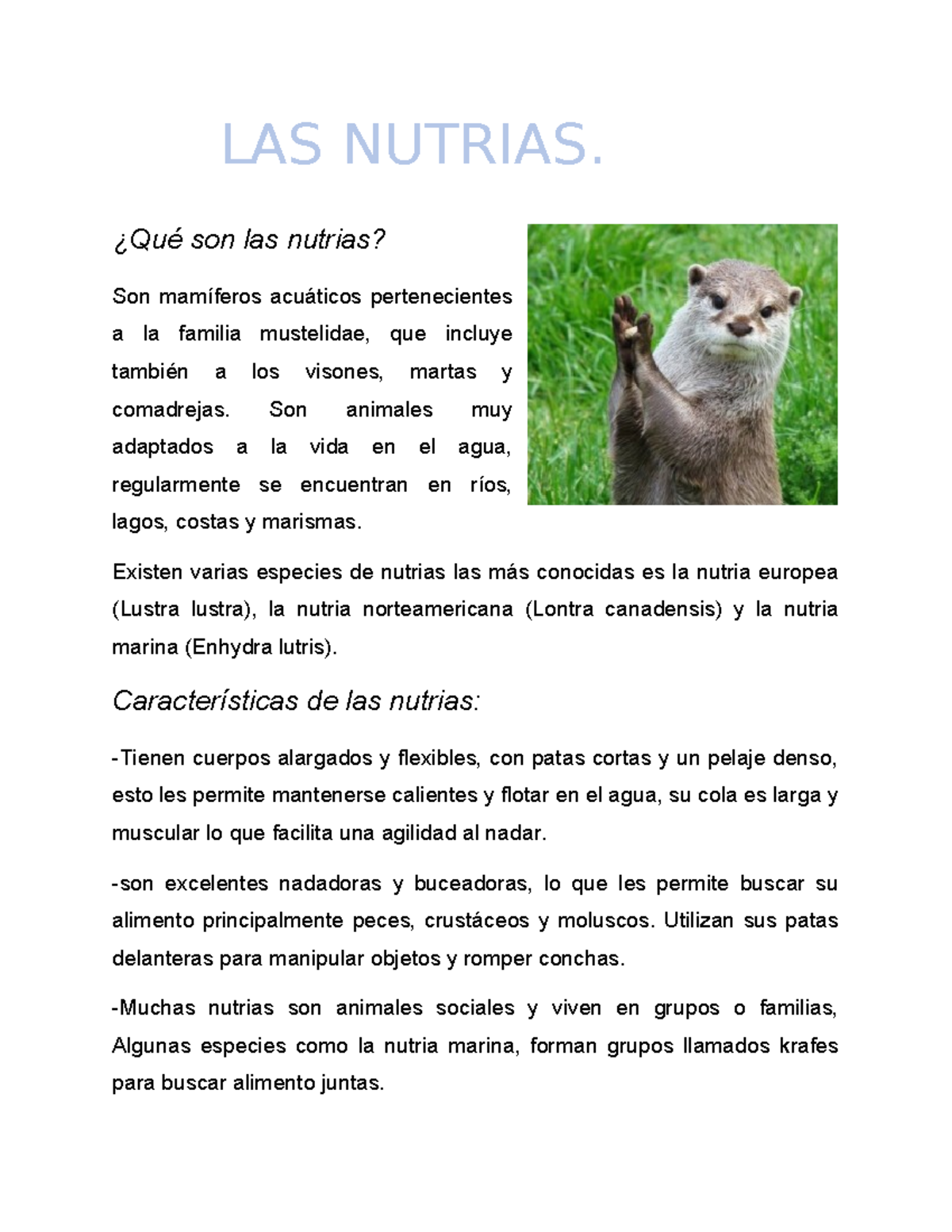 Características y Hábitos de las Nutrias - LAS Bio 101 - Studocu