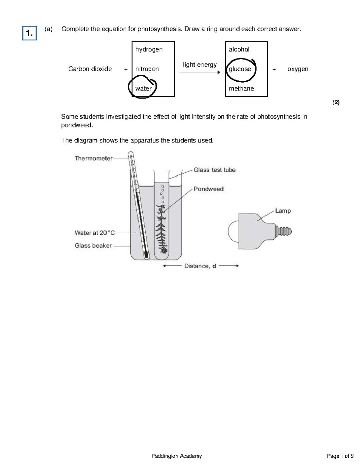 Year 10 Photosynthesis Exam Questions and Answers - Studocu