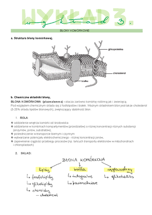 Budowa i funkcje blon biologicznych - Budowa i funkcje błon biologicznych Wprowadzenie ...