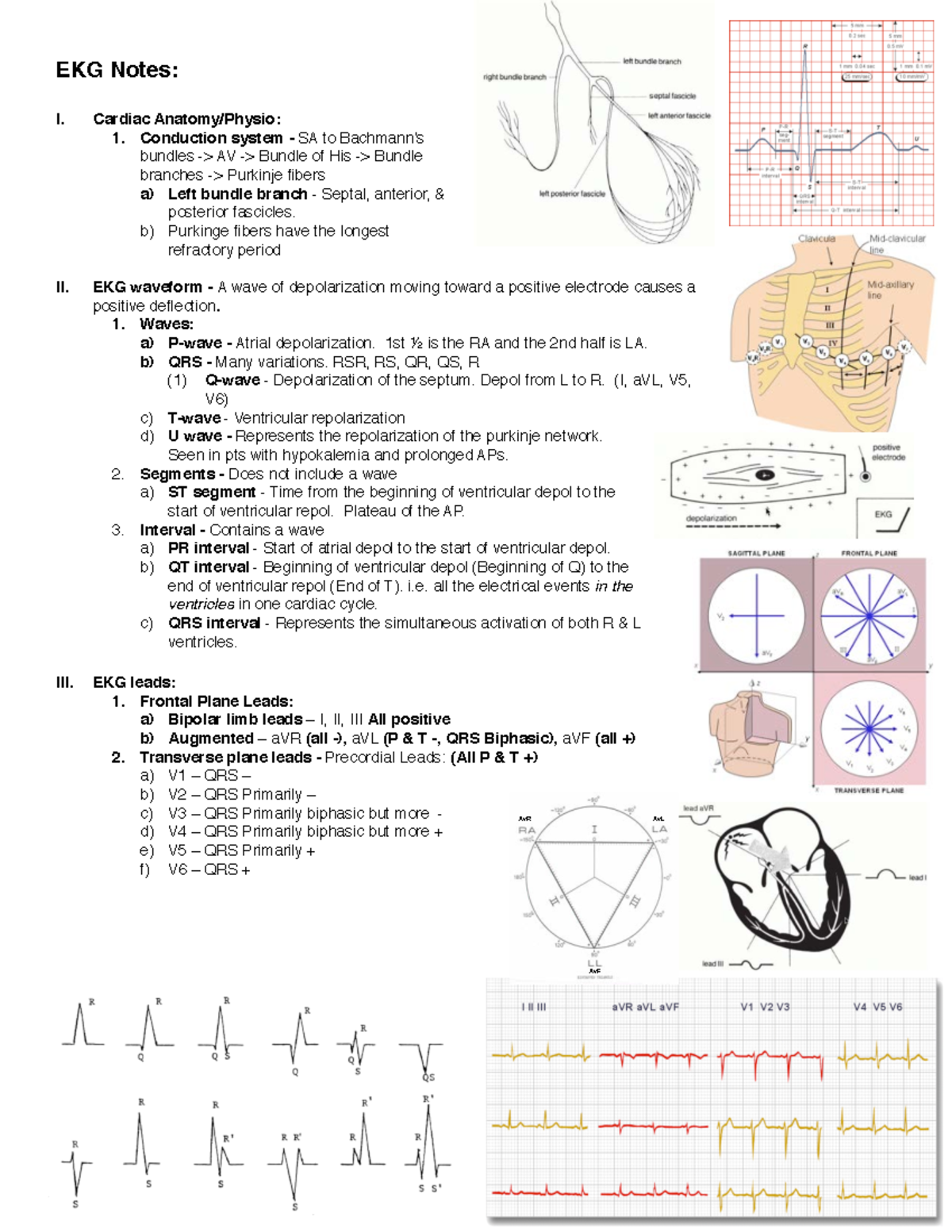 EKG Lecture Notes: Cardiac Function and Arrhythmias Overview - Studocu