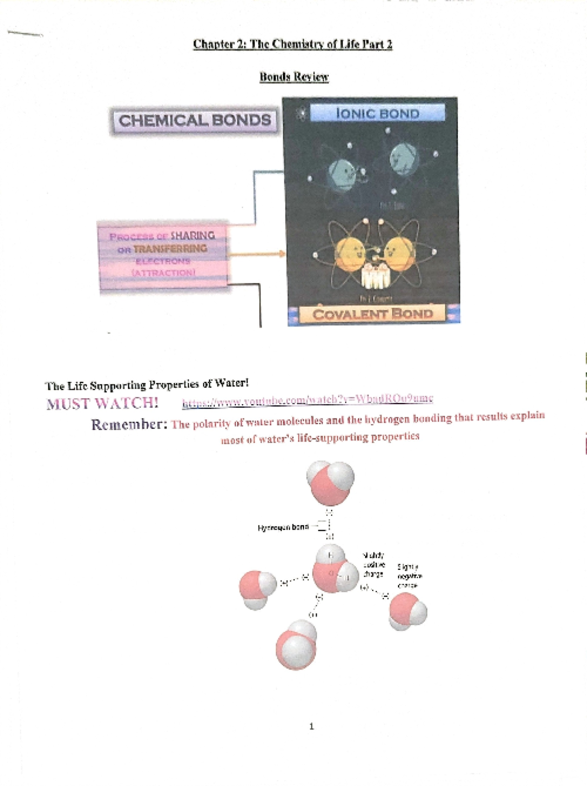 Chapter 2 The Chemistry of Life Part 2 Guided Notes - Chapter 2: The ...