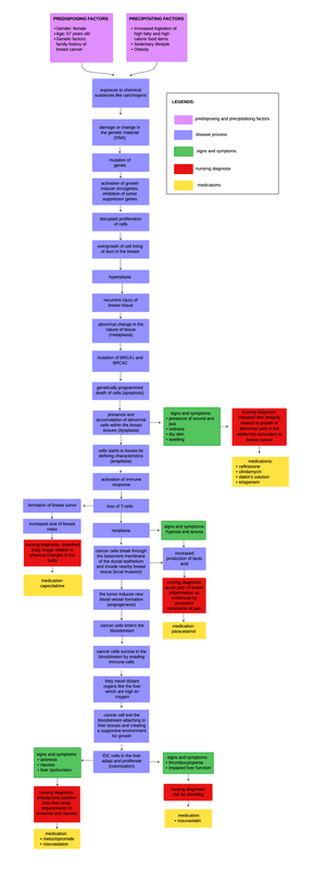 ECG BLD CHEM WAB UTZ - DIAGNOSTICS: ECG, BLOOD CHEMISTRY, ULTRASOUND A ...
