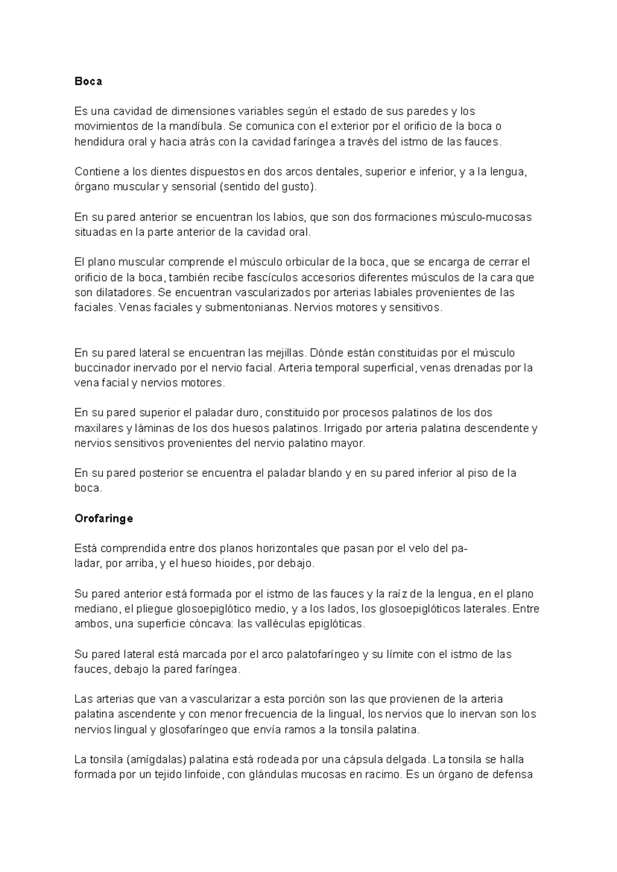 Sistema Digestivo: Anatomía y Funciones de Boca, Esófago y Estómago ...
