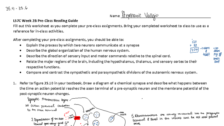 LS7C Week 2B Pre-Class Reading Guide on Nervous System Functions - Studocu