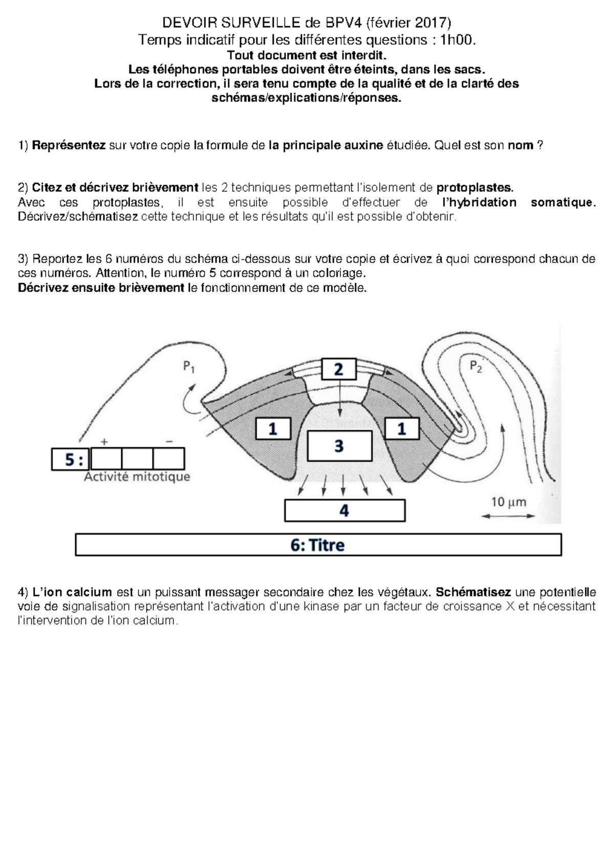 2016-2017 DS - Devoir Surveillé de BPV4 (Févr 2017) Exam Papers - Studocu