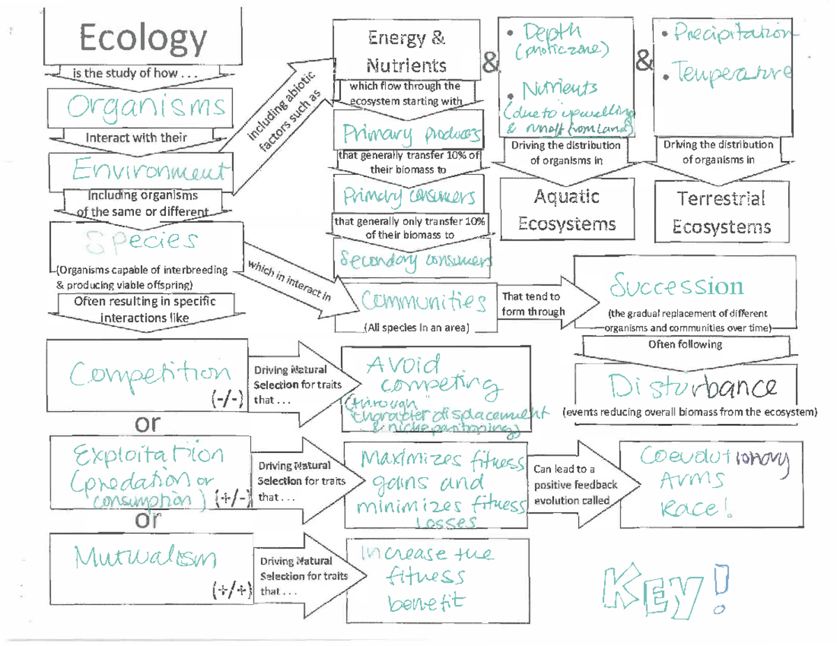 Ecology Concepts: Exam 3 Review Key for BIO211 24SP - Studocu