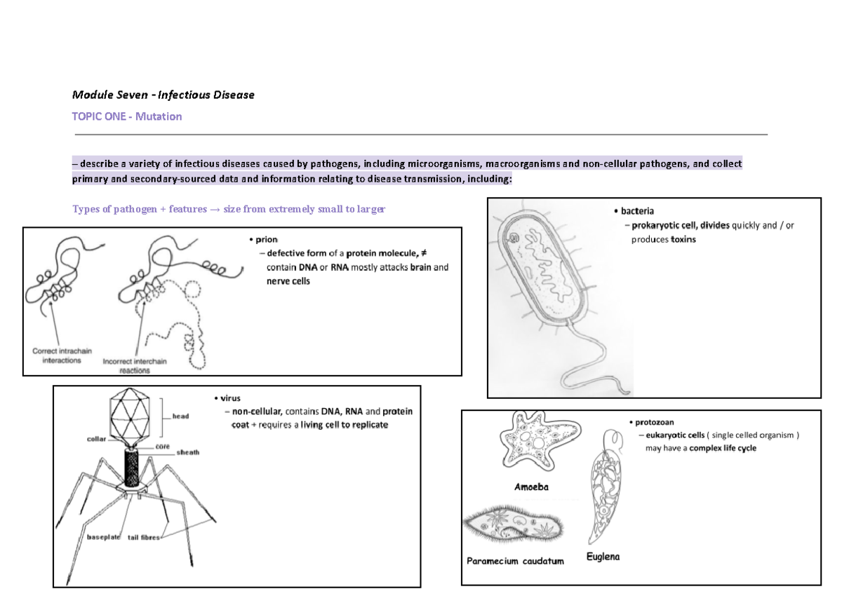 Module 7: Infectious Diseases - Pathogen Overview and Impact - Studocu