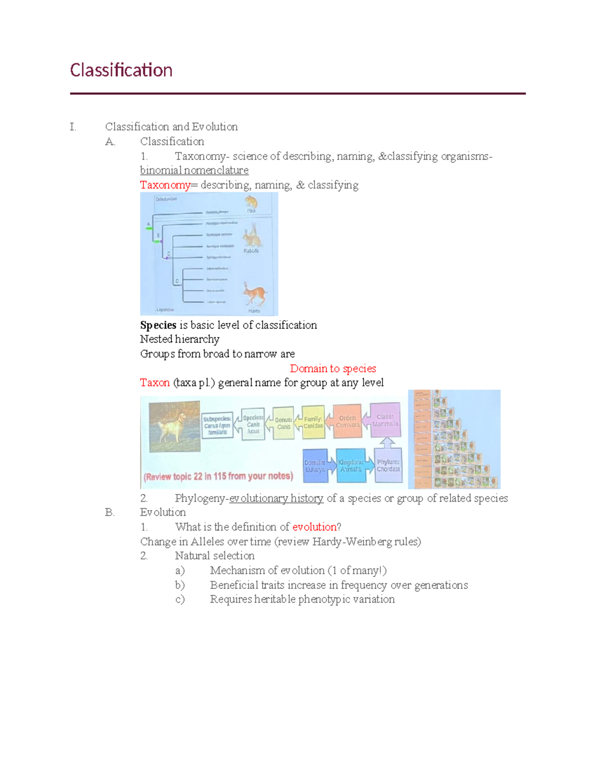 Classification I: Overview of Classification and Evolution Concepts ...