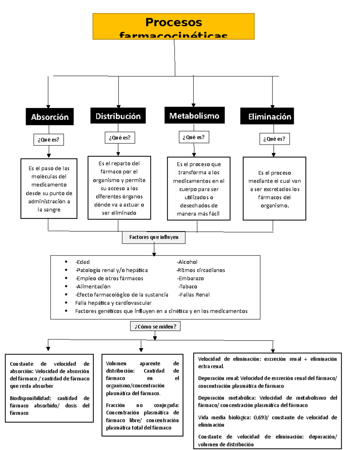 ADME Concept Map: Measurement of Pharmacokinetic Parameters - Studocu