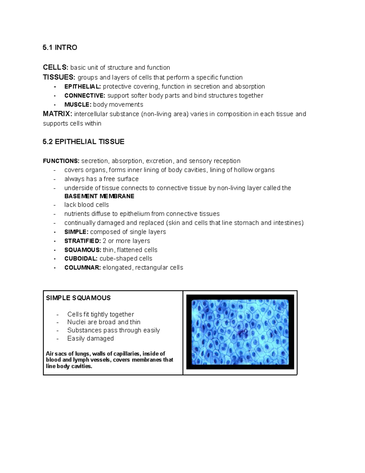 Lecture notes ( clinical) - 5 INTRO CELLS: basic unit of structure and ...