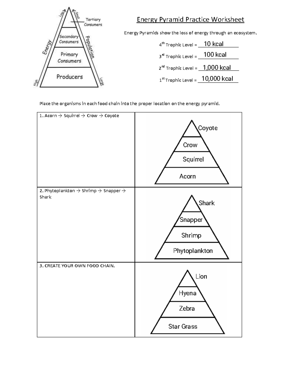Energy Pyramid Assignment Worksheet: Trophic Levels Explained - Studocu