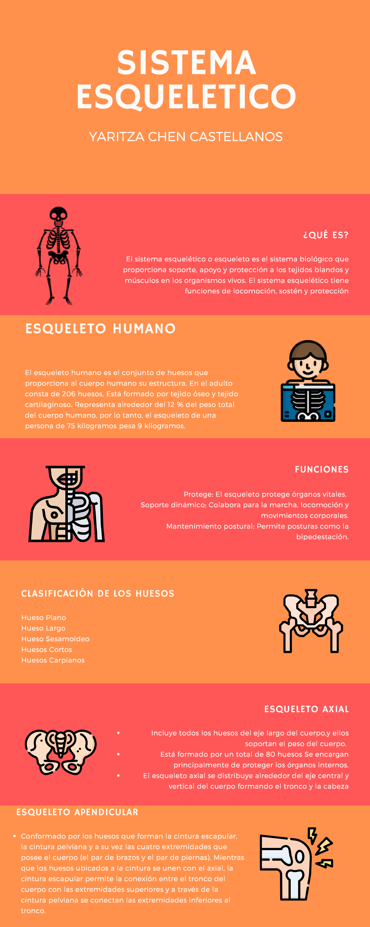 Funciones Del Sistema Esqueletico