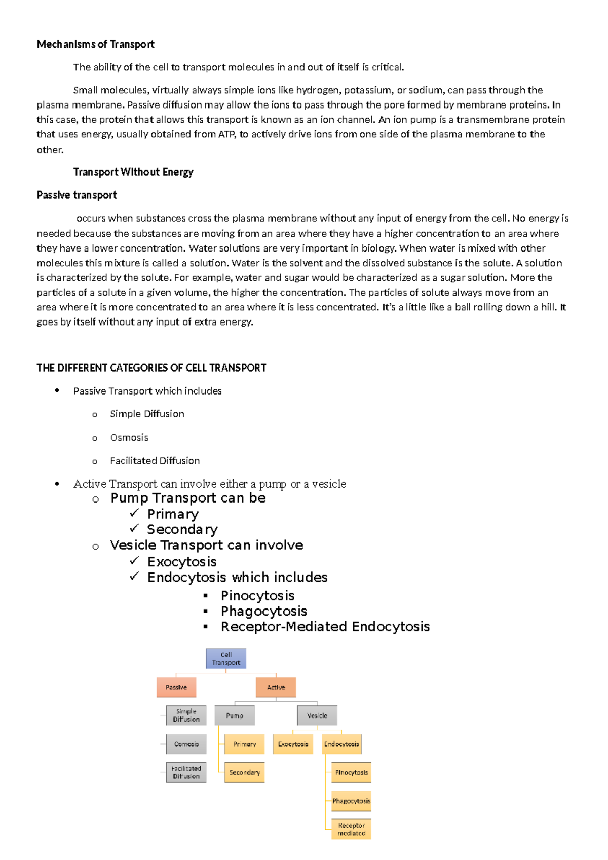 Transport- Mechanisms - Mechanisms of Transport The ability of the cell ...