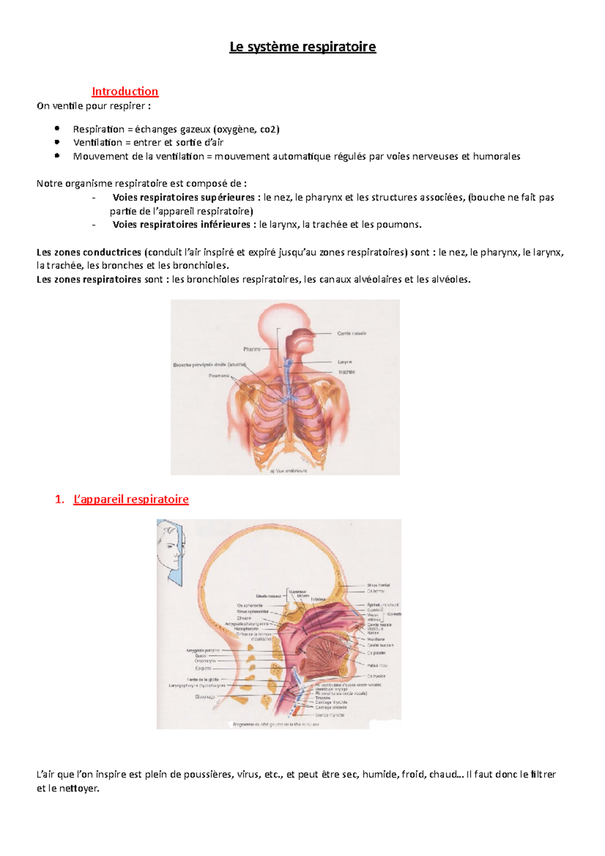 Cours système respiratoire - Le système respiratoire Introduction On ...