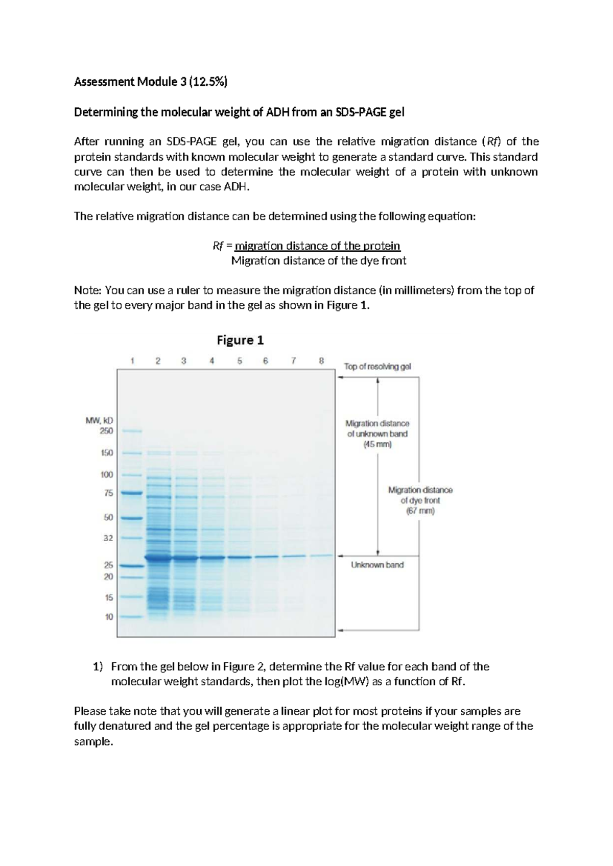 Assessment Module 3: Lab Practice Questions on ADH Molecular Weight ...