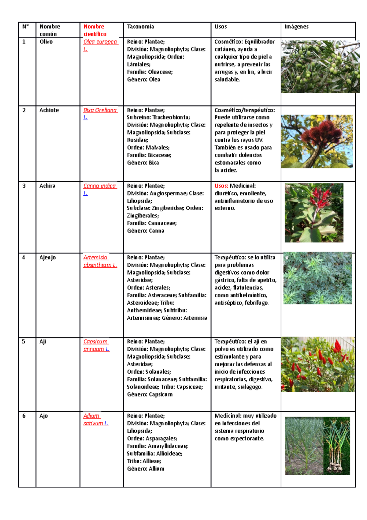 10 Ejemplos De Plantas Monocotiledóneas
