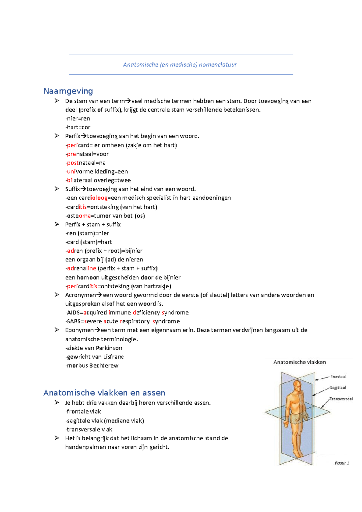 Anatomische en Medische Nomenclatuur: Basisprincipes en Structuur ...