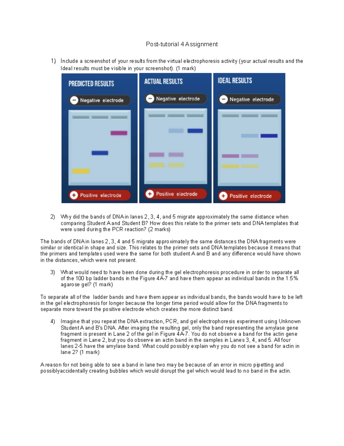 Tutorial 4 Assignment - Post-tutorial 4 Assignment 1) Include a ...