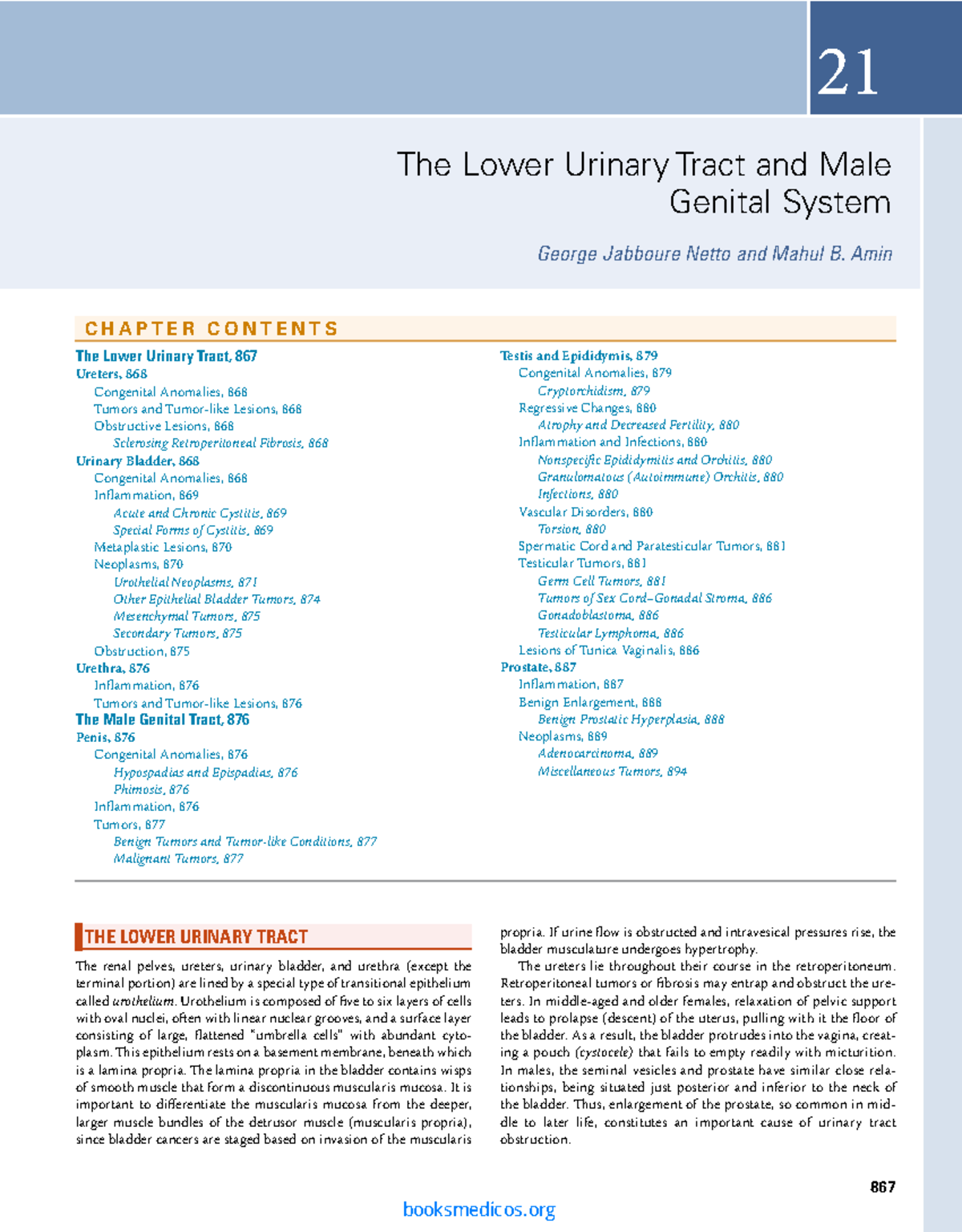 21 The Lower Urinary Tract and Male Genital System: Key Concepts and ...