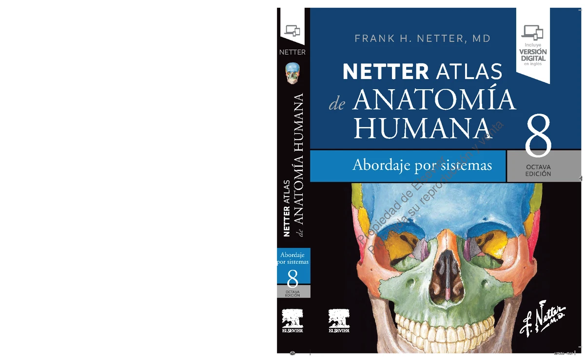 Netter Atlas de Anatomía Humana - 8a Edición (Sistemas) - Studocu