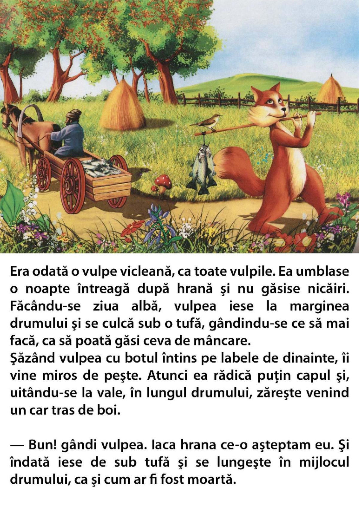 Ursul păcălit de vulpe - poveste pentru copii - Studocu