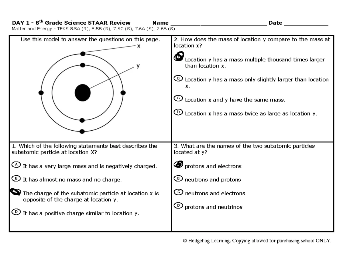 Food Webs and Food Chains Worksheet - Study Guide for Biology 101 - Studocu